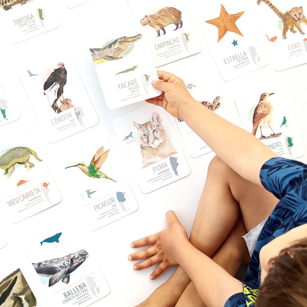 Flashcards – Animales de Argentina - Tienda Lolo's