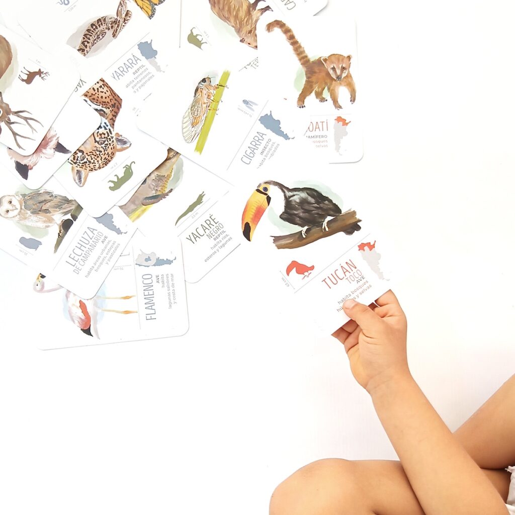 Flashcards – Animales de Argentina - Tienda Lolo's