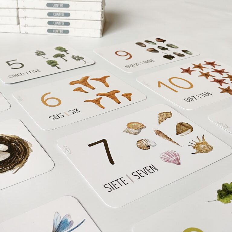 Flashcards – Conteo y números - Tienda Lolo's